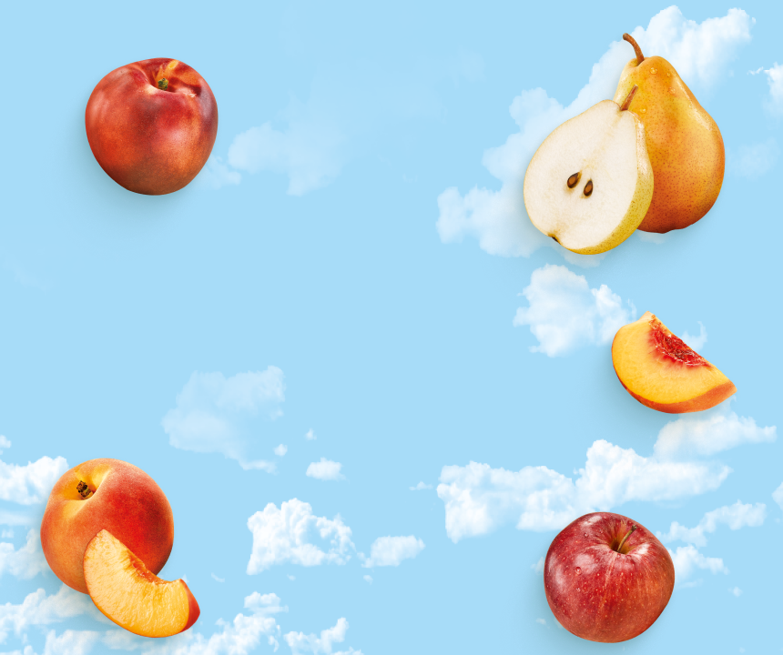 Format familial | Pom'Potes®